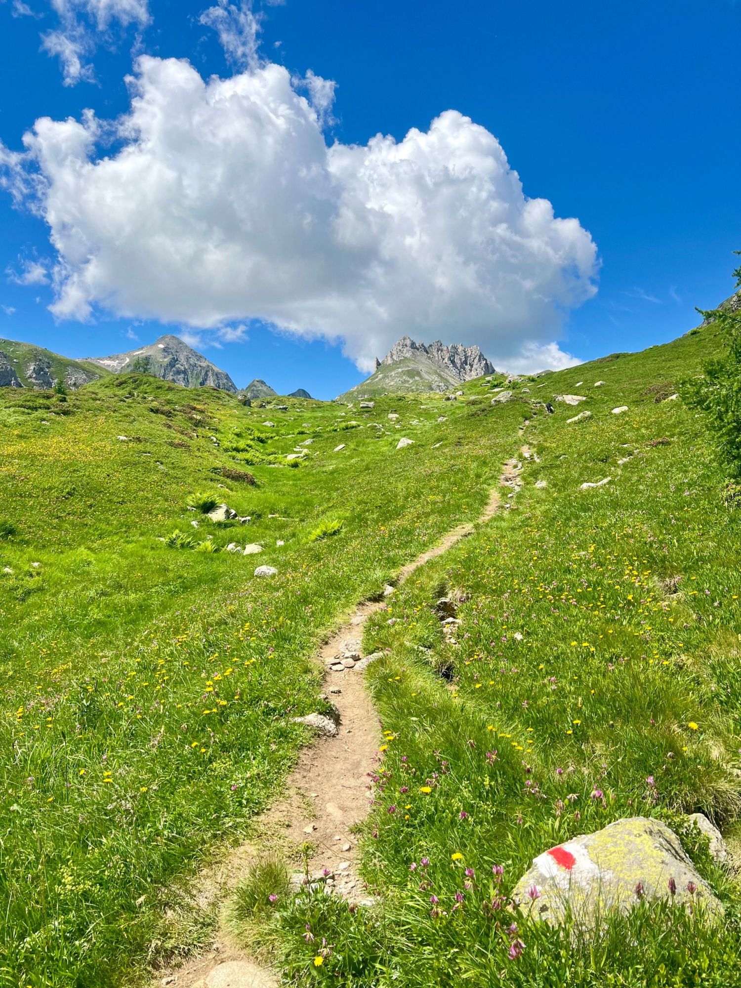 Sentieri e MTB • TicinoSentieri